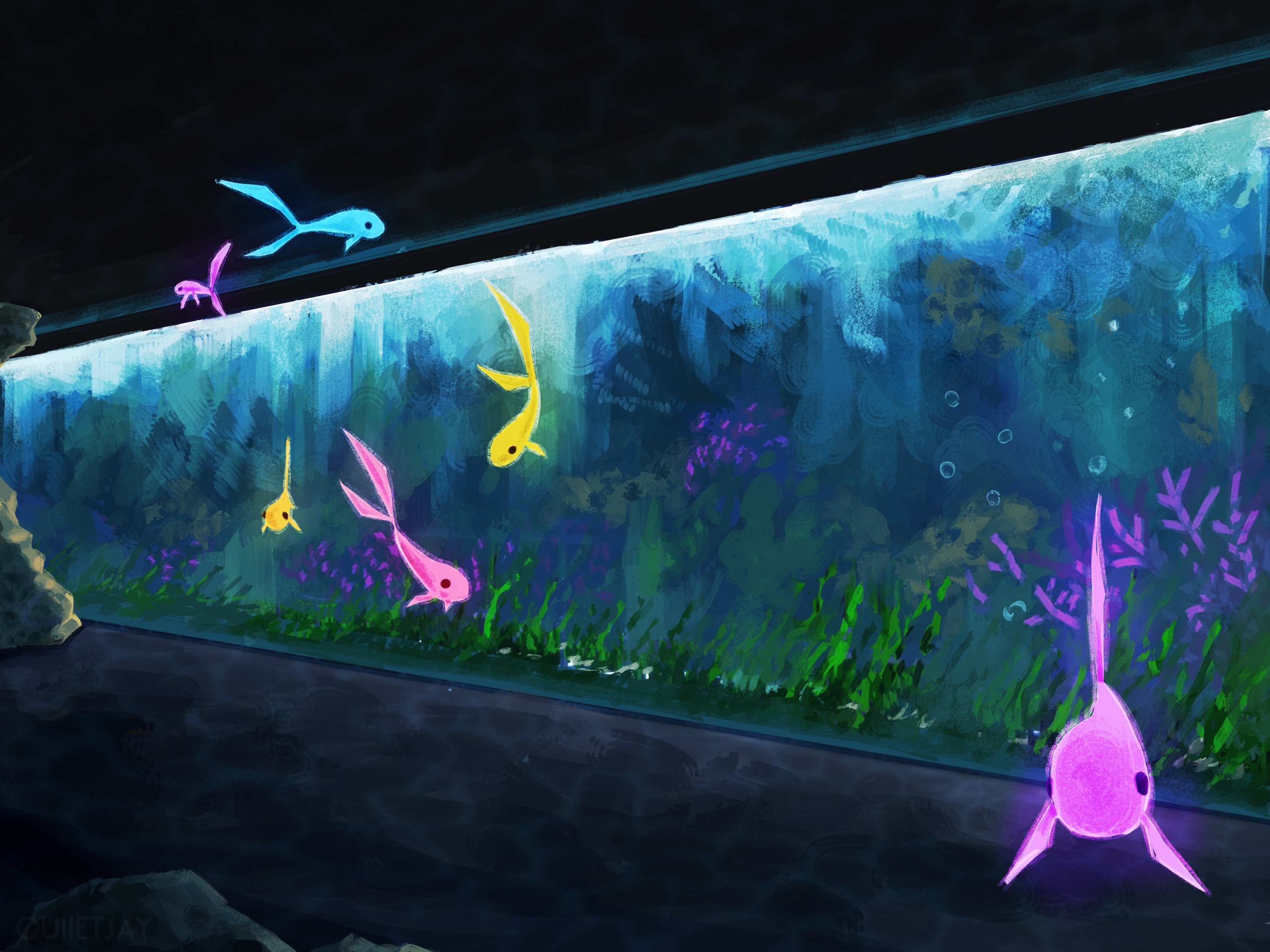 BBooru - 2024 4:3 air bubble algae ambiguous gender anthozoan aquarium ...