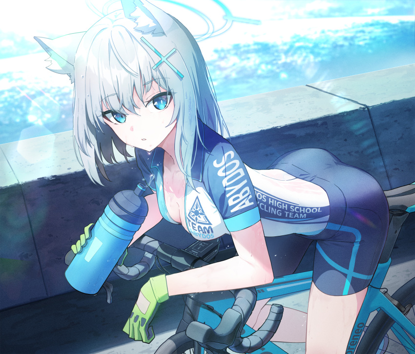 BBooru - animal ear fluff animal ears ass bicycle bike jersey bike shorts blue archive blue eyes ...