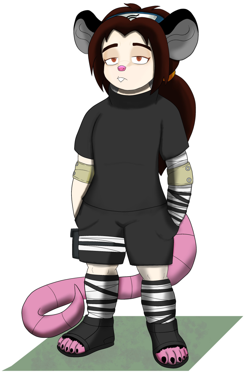 BBooru - absurd res american opossum animal humanoid anthro bandage ...