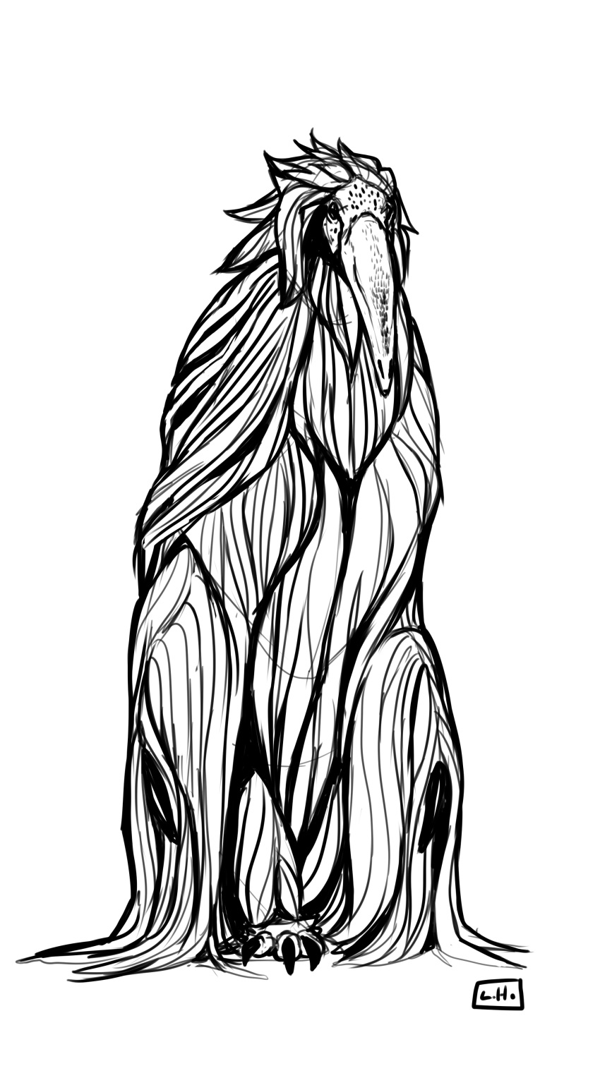 Bbooru 916 Absurd Res Ambiguous Gender Avian Avian Feet Beak Black