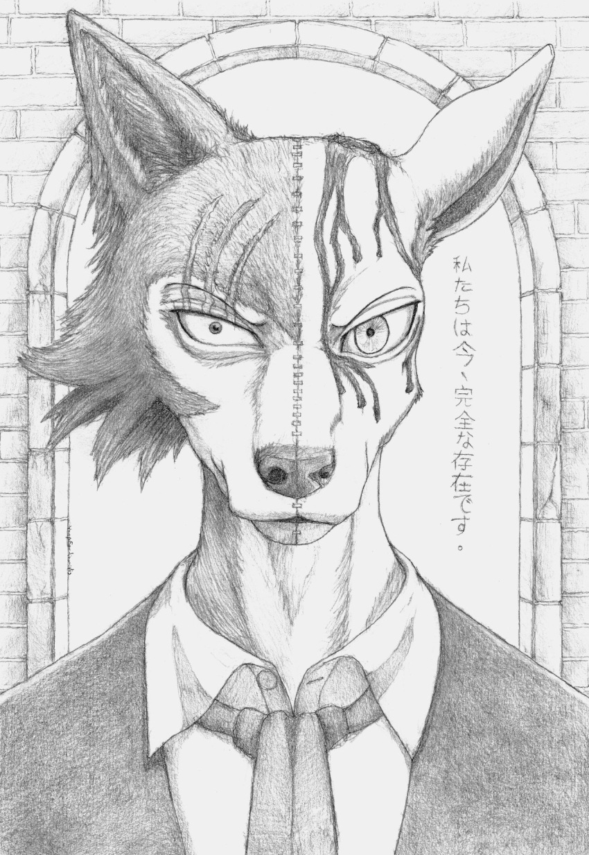 BBooru - anthro beastars canid canine canis chimera deer facial scar ...