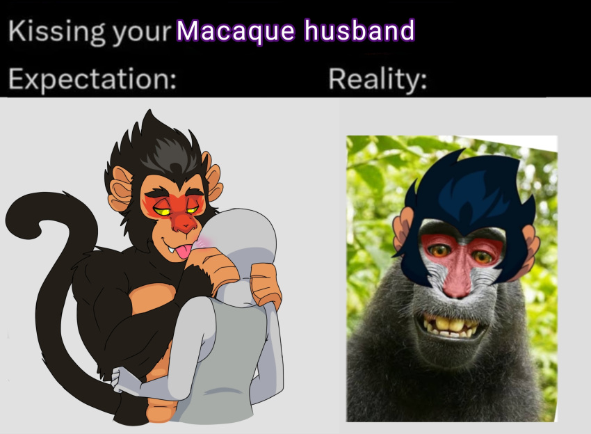 BBooru - ambiguous gender ambiguous on anthro anthro ape aratinga ...