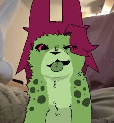 BBooru / rigby_the_cat