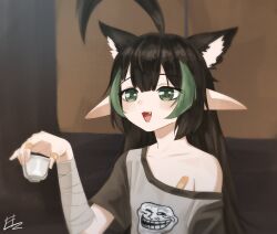 BBooru / elfinpsyop
