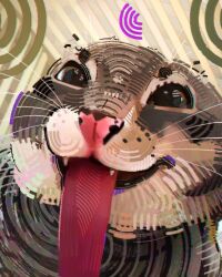 BBooru / rigby_the_cat