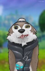 BBooru / rigby_the_cat